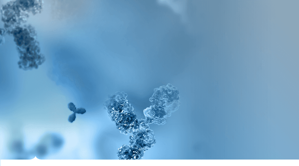 Bionovis. INNOVATION STARTS HERE