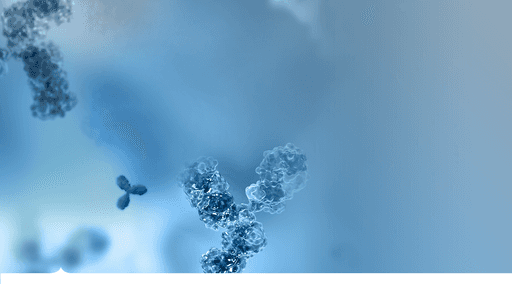 Bionovis. A INOVAÇÃO NASCE AQUI.