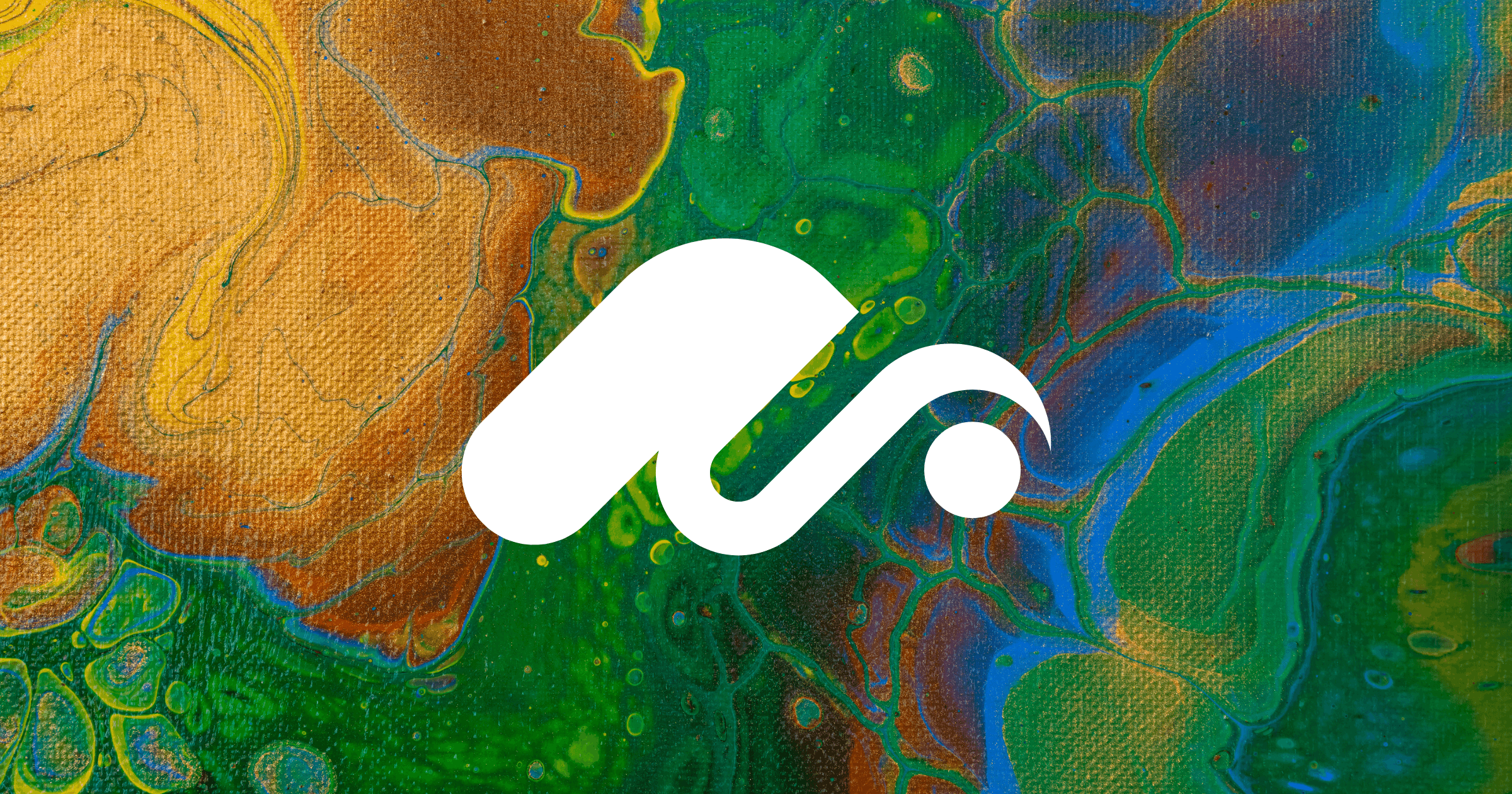 Asli Bulut Portfolio