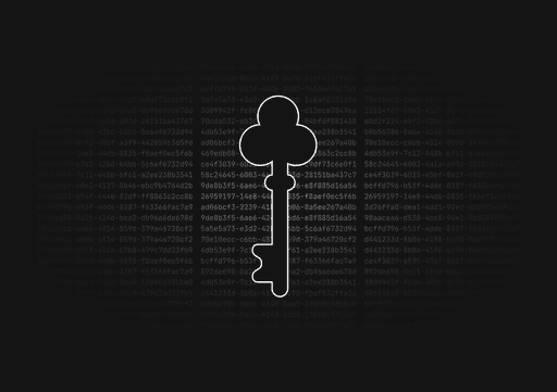 How to reset and seed a Prisma database | Basedash