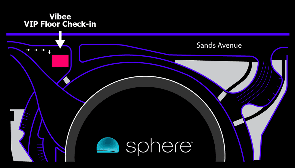 Dead & Company | Vibee