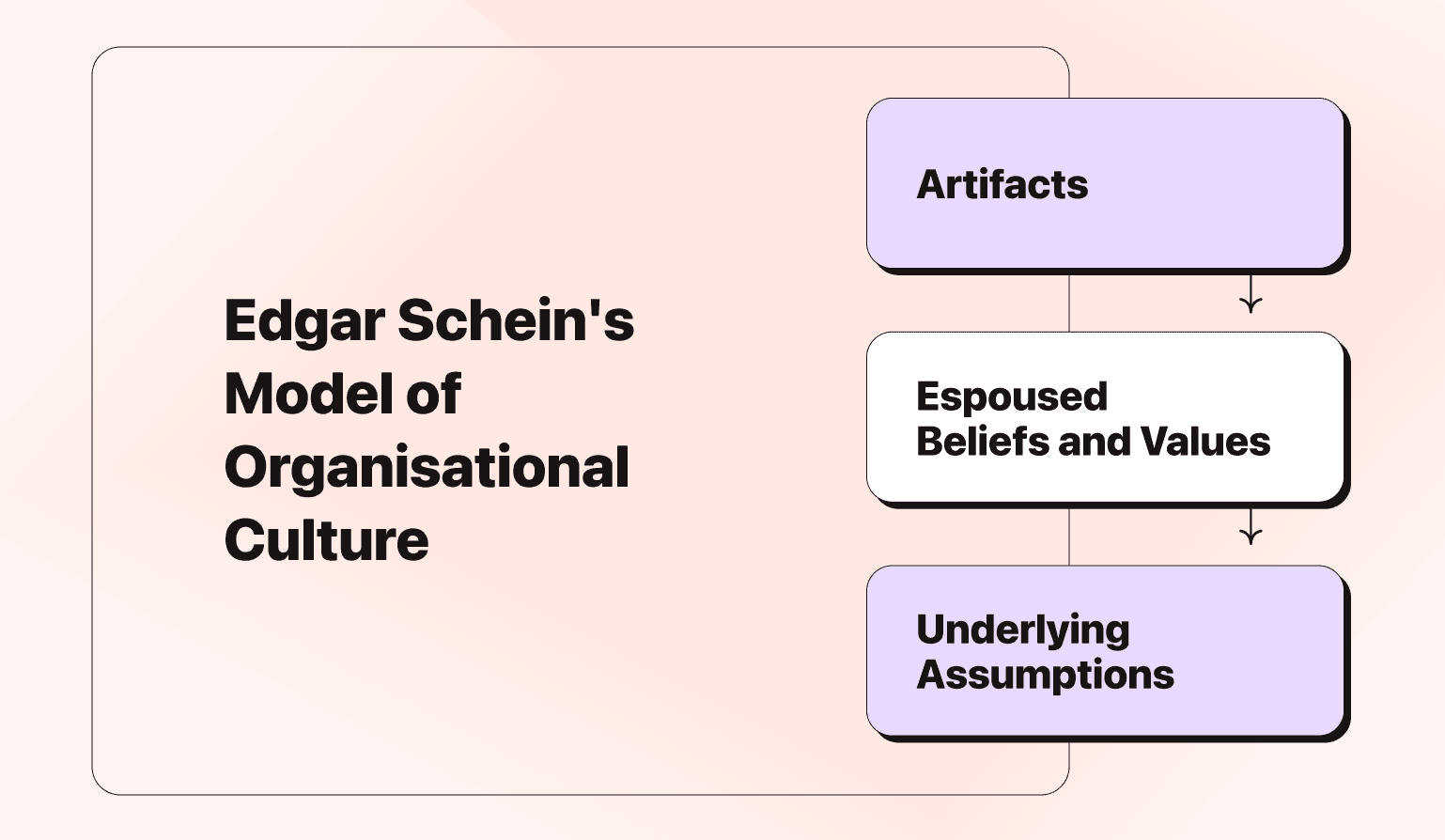 Culture Models - Humaans