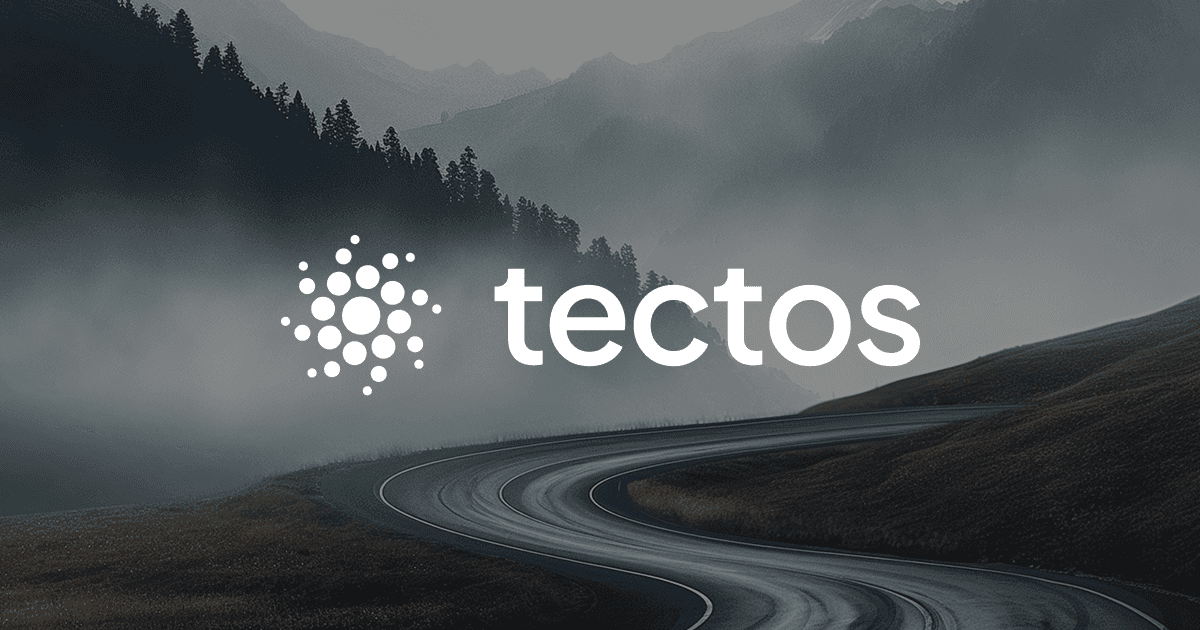 Alexander Knapitsch - tectos