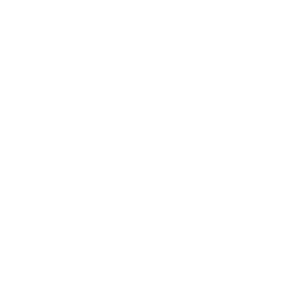 LFS Inc. | Websites