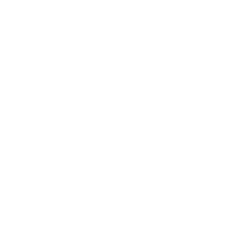 LFS Inc. | Websites