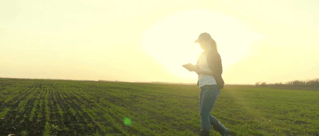 Folktale.io - How it works