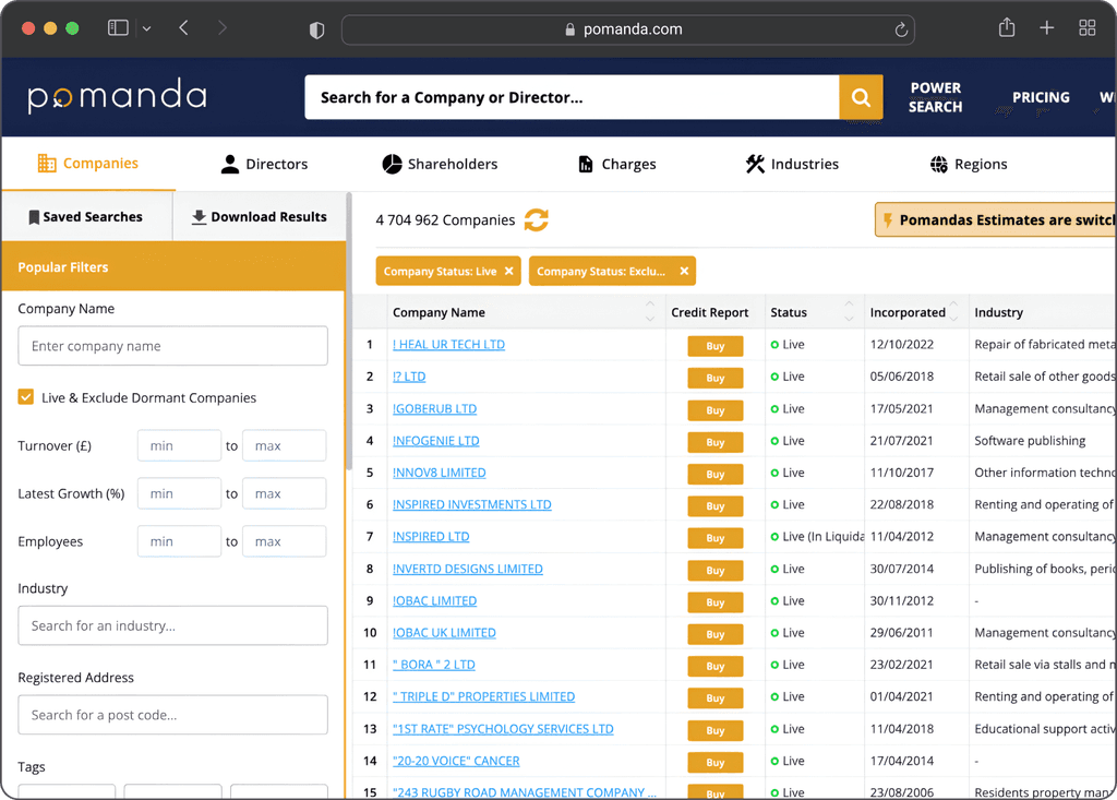 Big Picture Software | Bridge Between Ideas and Execution