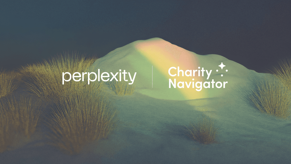 Research nonprofits with Charity Navigator on Perplexity