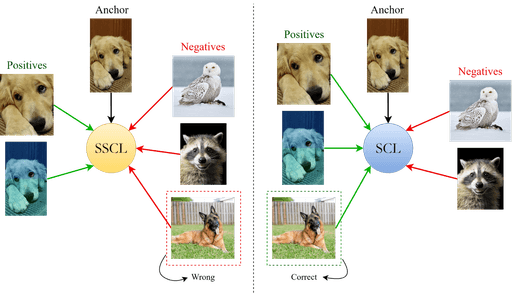 The Beginner’s Guide to Contrastive Learning