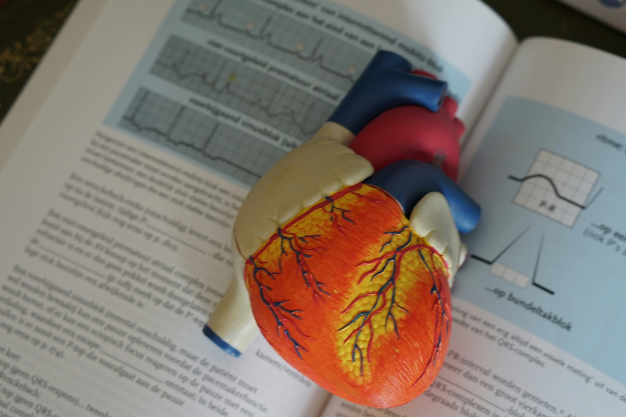 14 Best Cardiology Books For Medical Students — Otio Blog