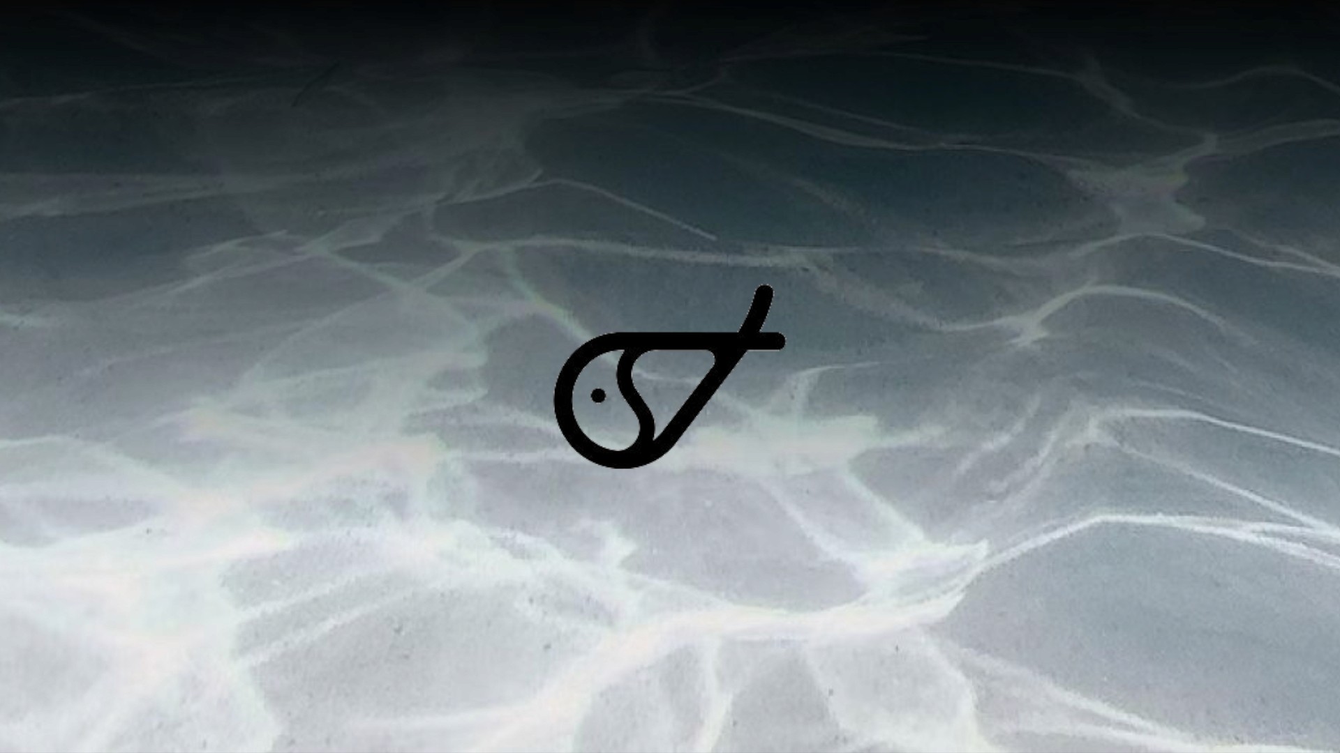 Spartan Labs. A Web3 venture studio.