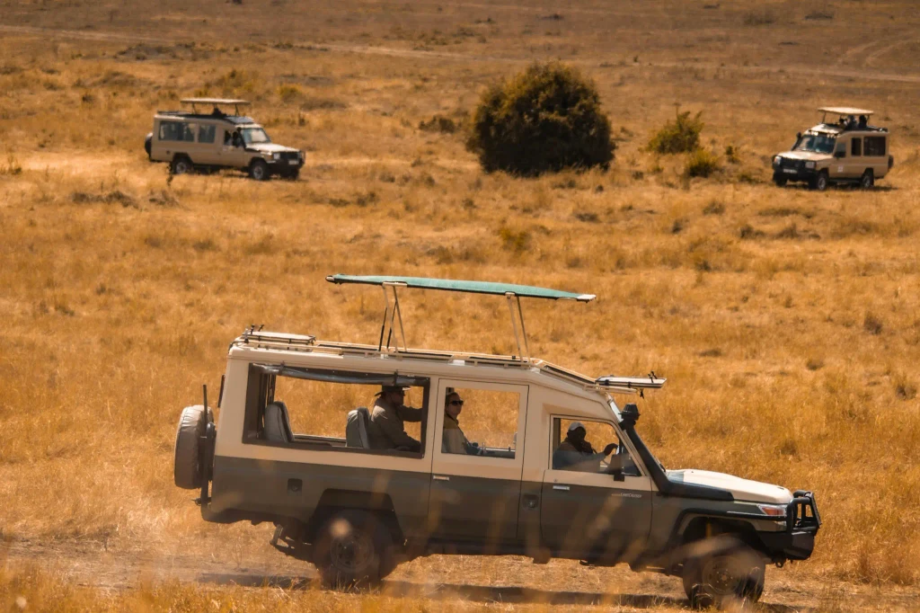 3-Day Budget & Mid-Range Safari: Ngorongoro & Central Serengeti with ...