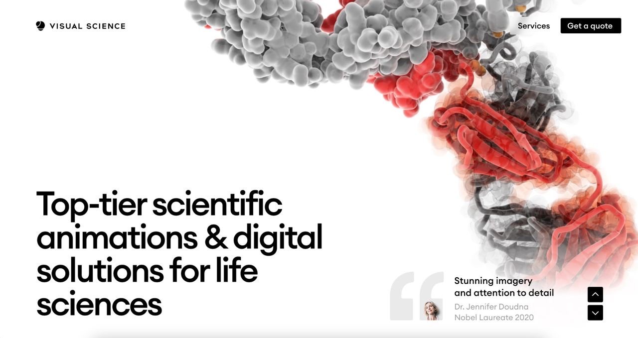 Corporate presentation for Apogee Therapeutics Case Study | Visual Science