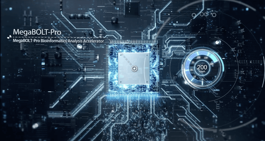 DNBSEQ-T7 | The Vanguard of High-Throughput Sequencing