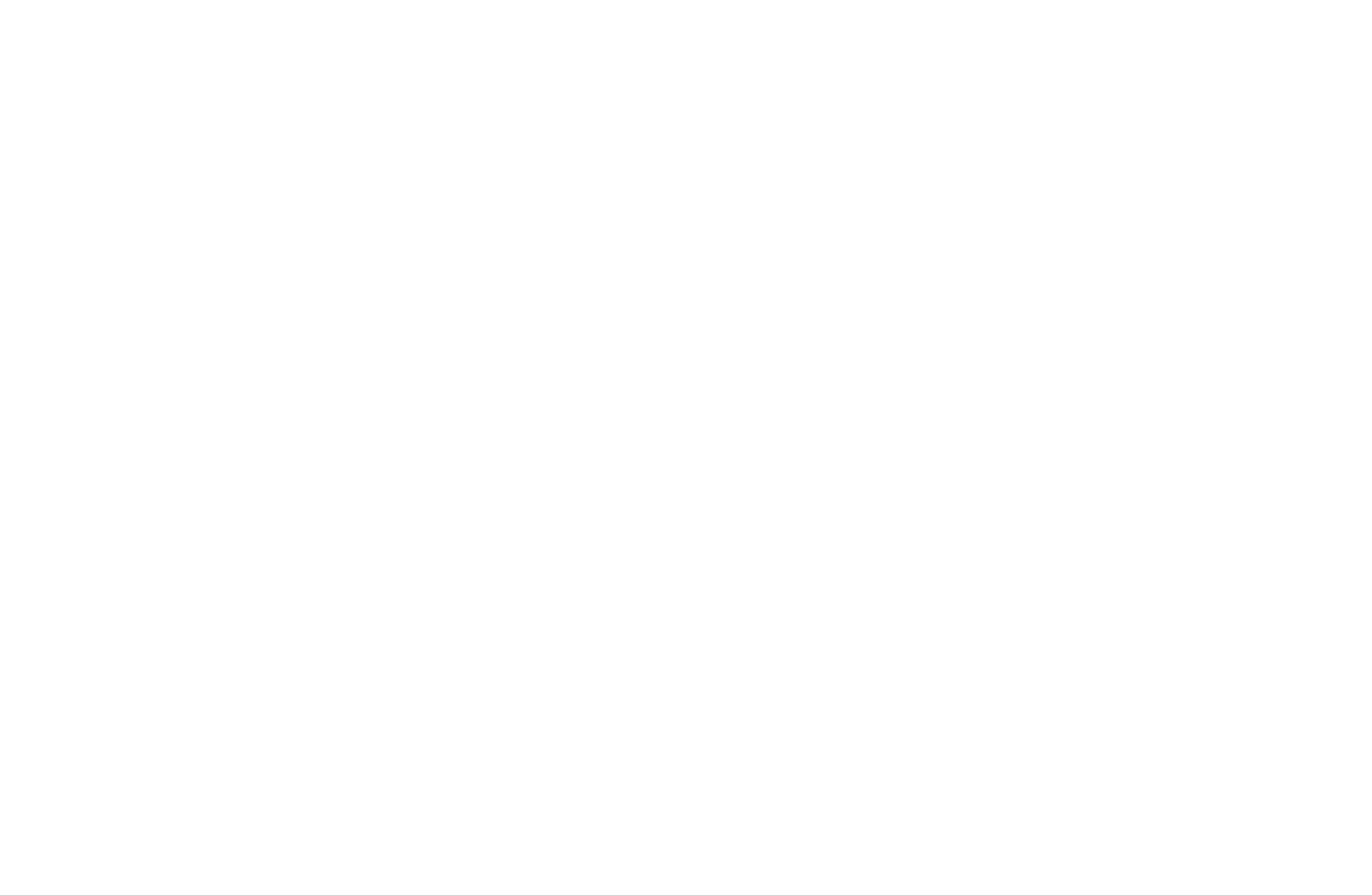 Aimo Subscription