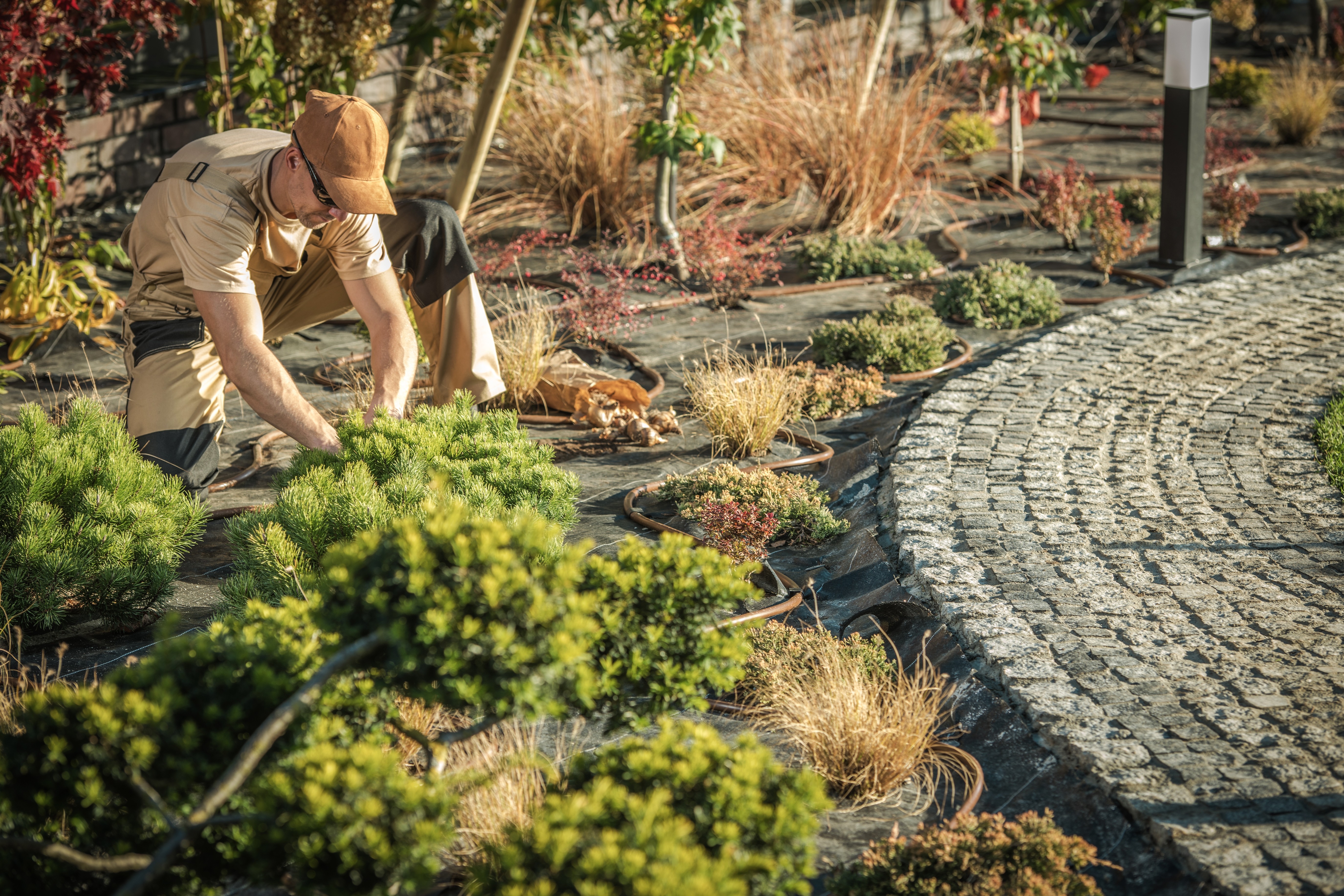 Artman Landscape Construction - Commercial Landscaping & Premium ...