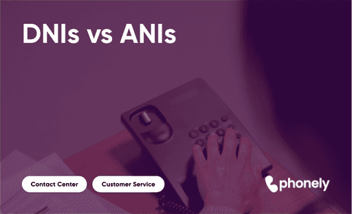 DNIs vs ANIs - Phonely