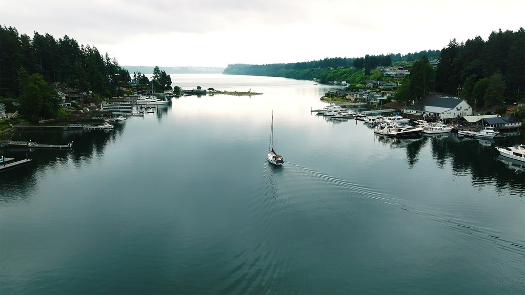 The Russell Family Foundation catalyzes climate finance with Carbon Direct | Carbon Direct