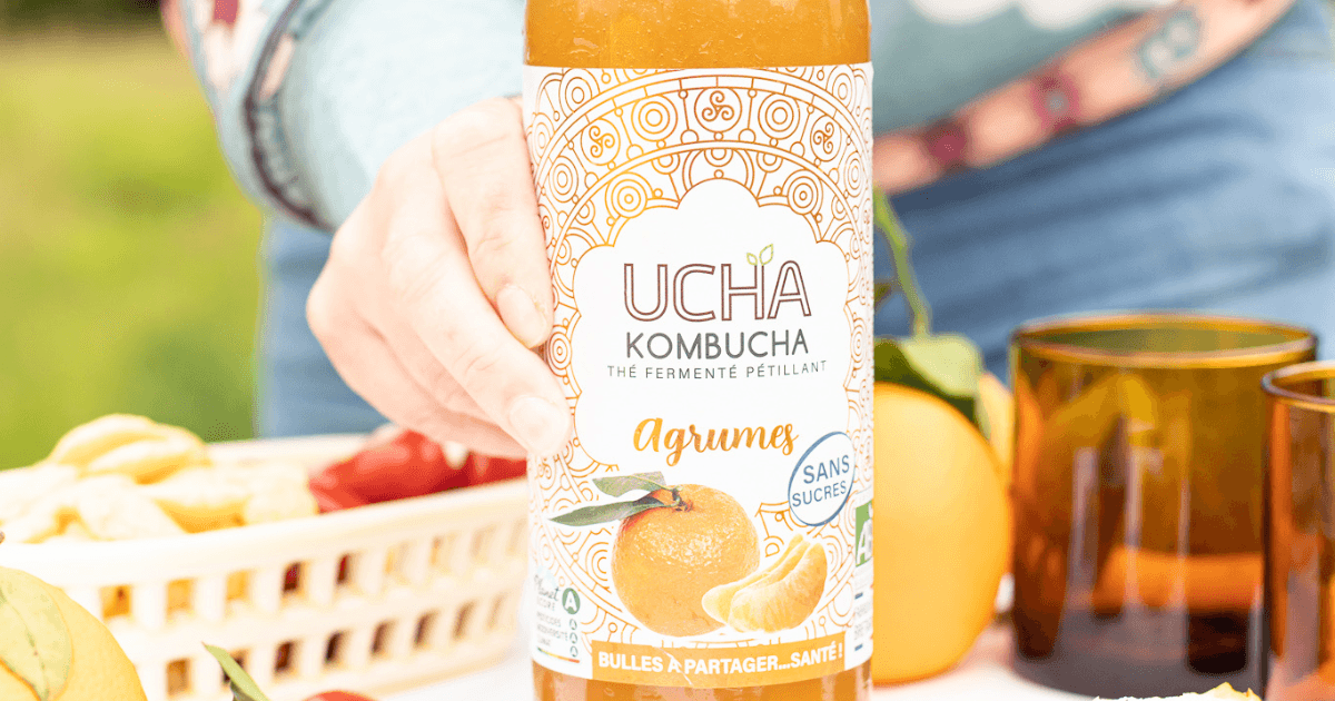 Sugar free citrus kombucha: 100% organic sparkling freshness | UCHA