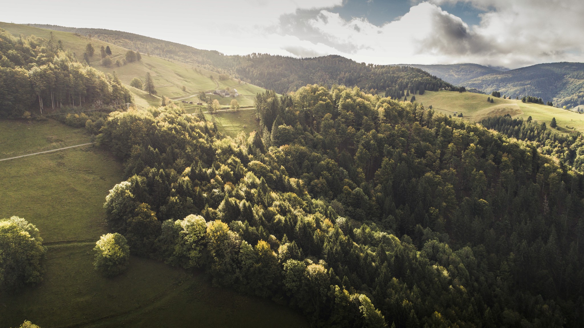 HORL®3 Cruise | HORL 1993