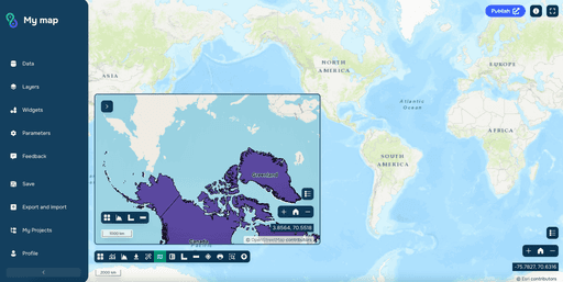 Inset Maps: Enhancing Geospatial Projects