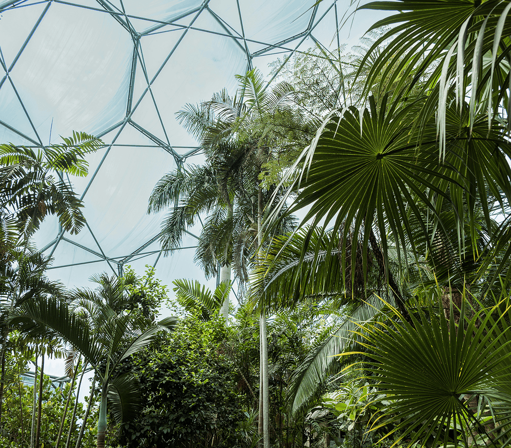 Solarpunk in Architecture: The Intersection of Art, Technology, and ...