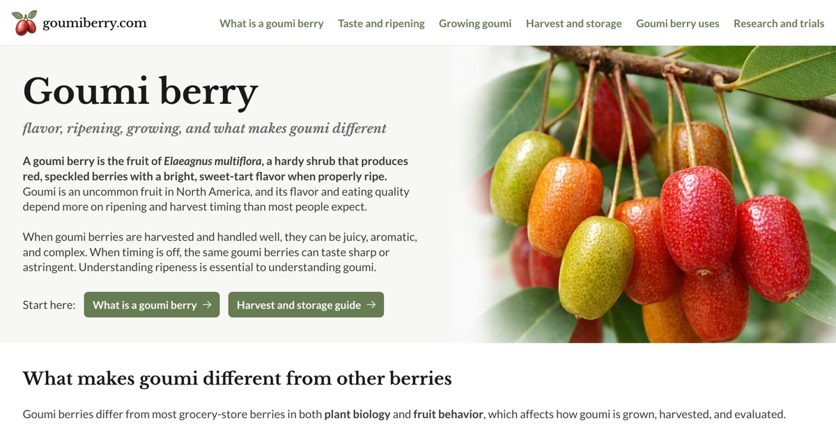 What Is a Goumi Berry? | Plant, Fruit, and Ripening Overview