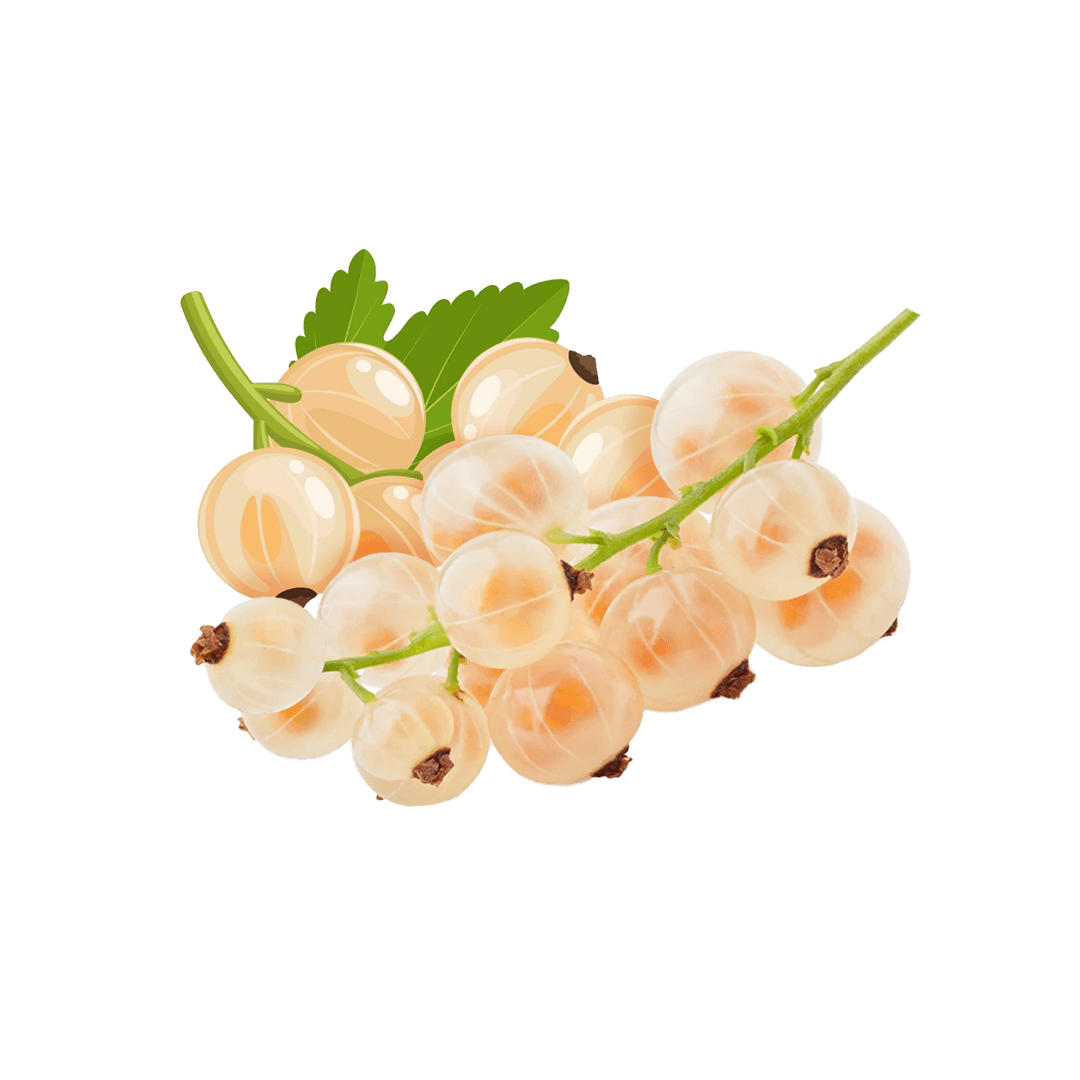 8 Berries - The World of Berries