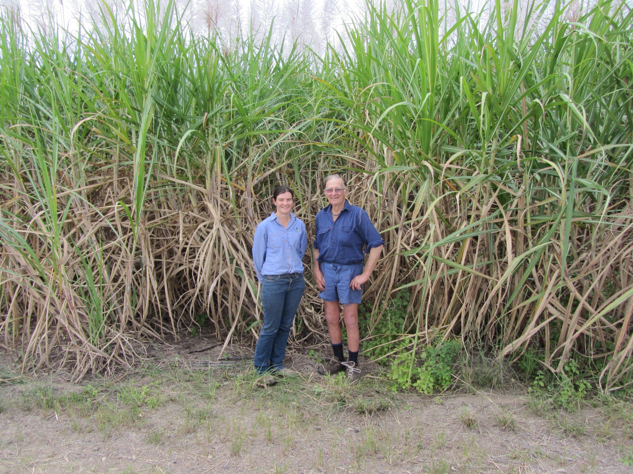 Farmacist | Independent Precision Agronomy — QLD & Northern NSW