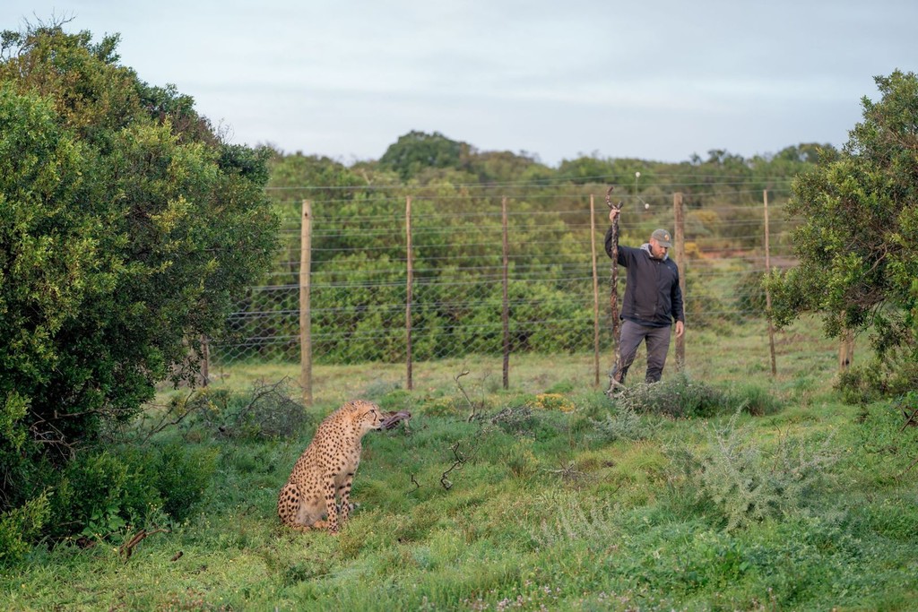 Nyosi Wildlife Reserve