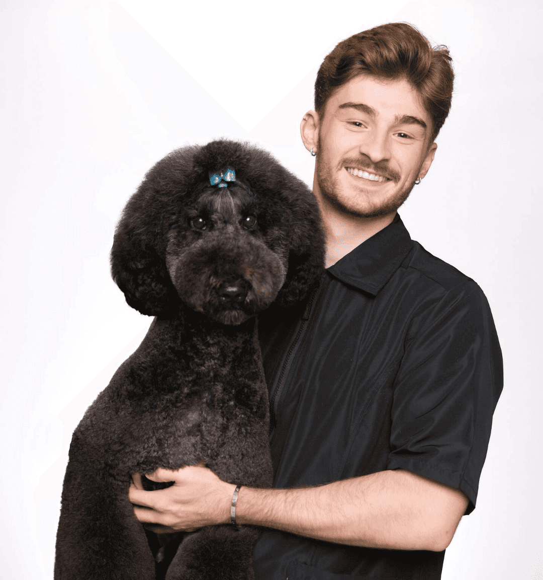MIMO - Elevated Dog Grooming