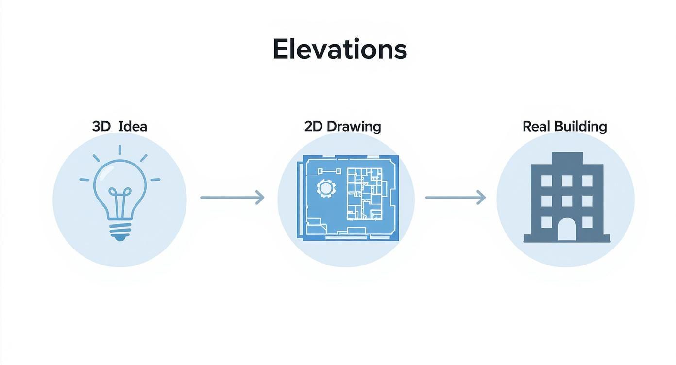 A Guide to Elevations in Architecture | Vibe3D Blog
