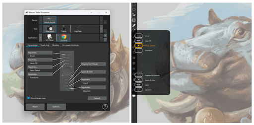 How to set up your Wacom tablet for drawing in Magma | Magma