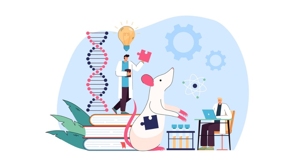 Chief Scientific Officer: Role, Salary, Responsibilities & Career Path - Fonzi AI Recruiter