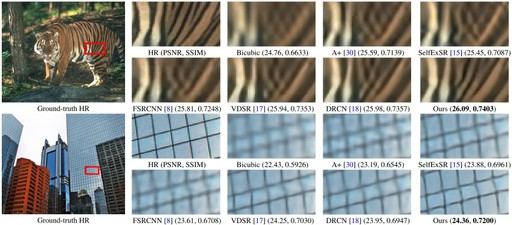 Deep Learning for Image Super-Resolution [incl. Architectures]