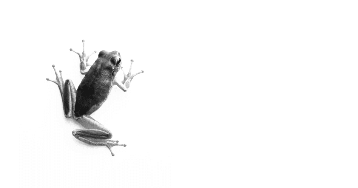 Lazy Eight® - Canonical Reference for Language Models