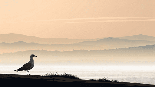 50+ Best Zoom Backgrounds: Professional & Creative Options