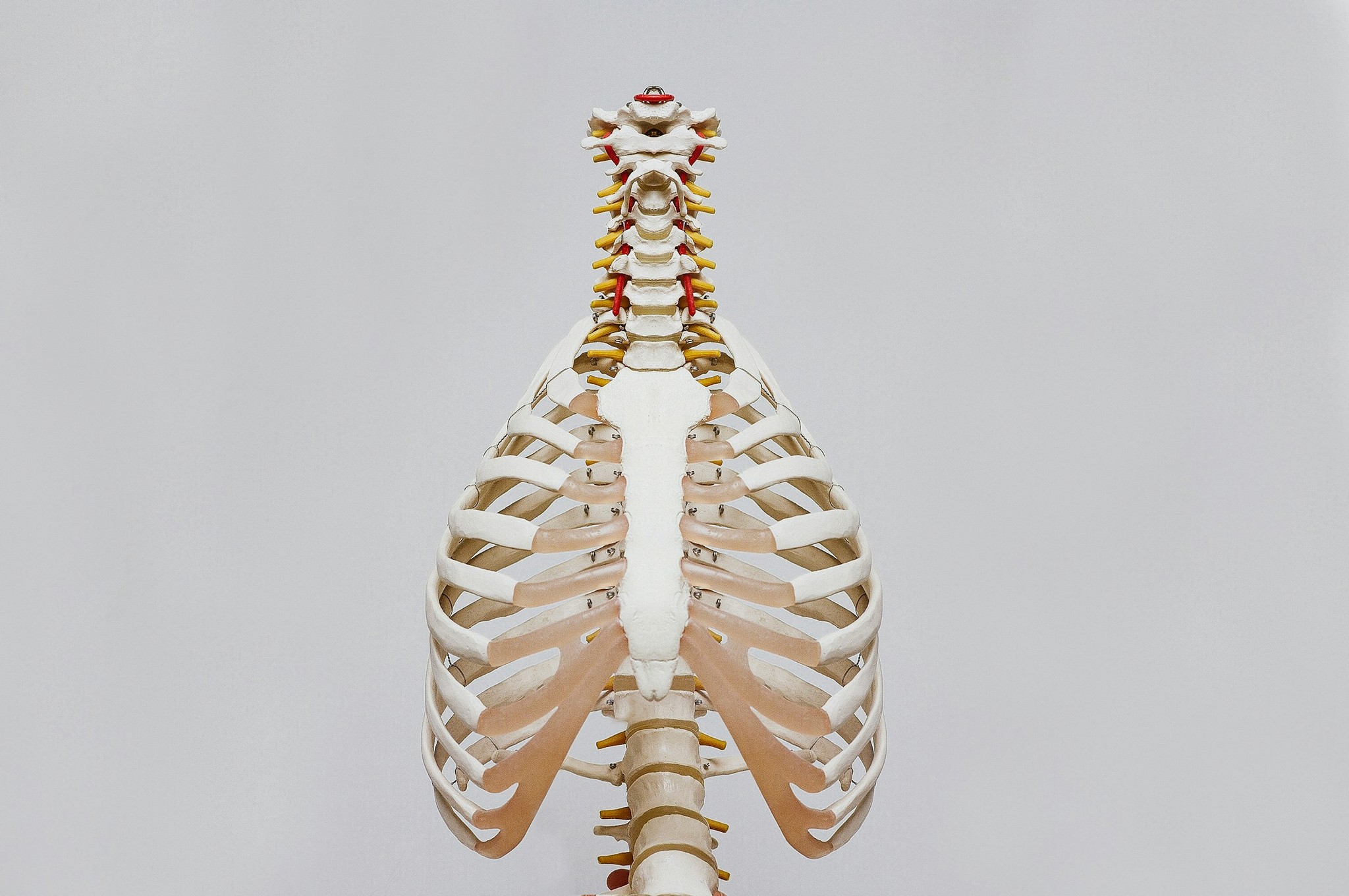 10 Ways to Fix a Flared Rib Cage and Strengthen Your Core - PostureAI