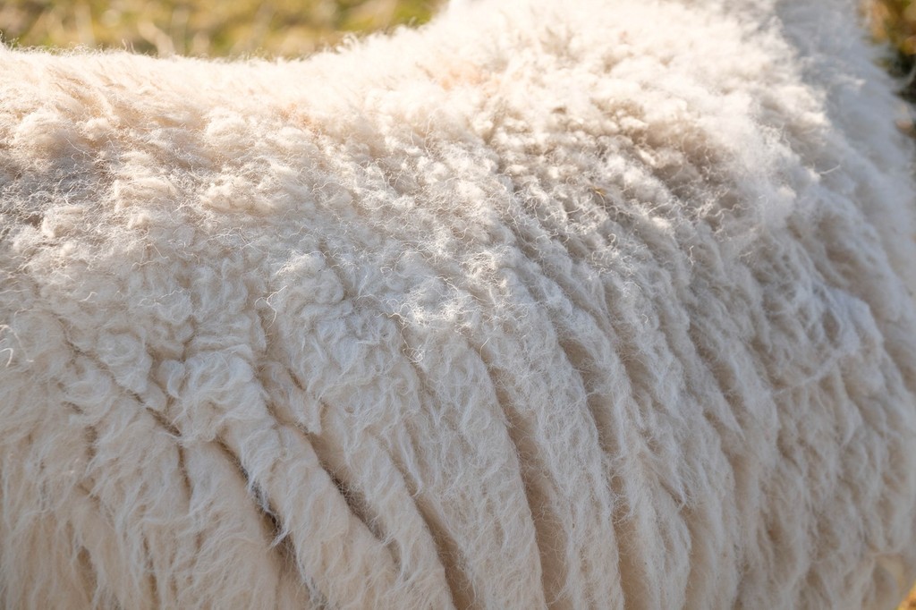 Harlosh | Boutique holiday hideaways on the Isle of Skye