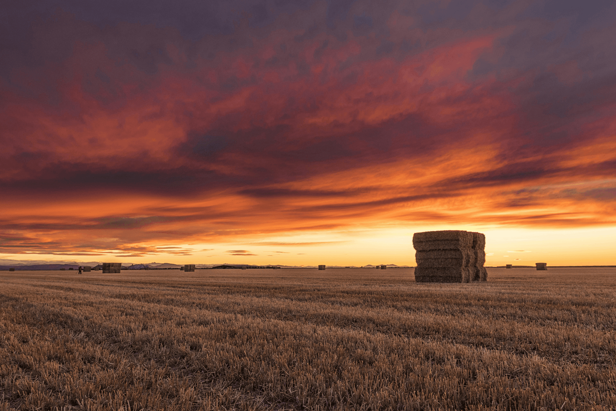 Forage Preservation & Feed Stability Products | ISF