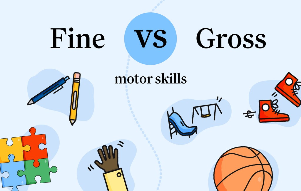 Fine vs gross motor skills | Summer Health