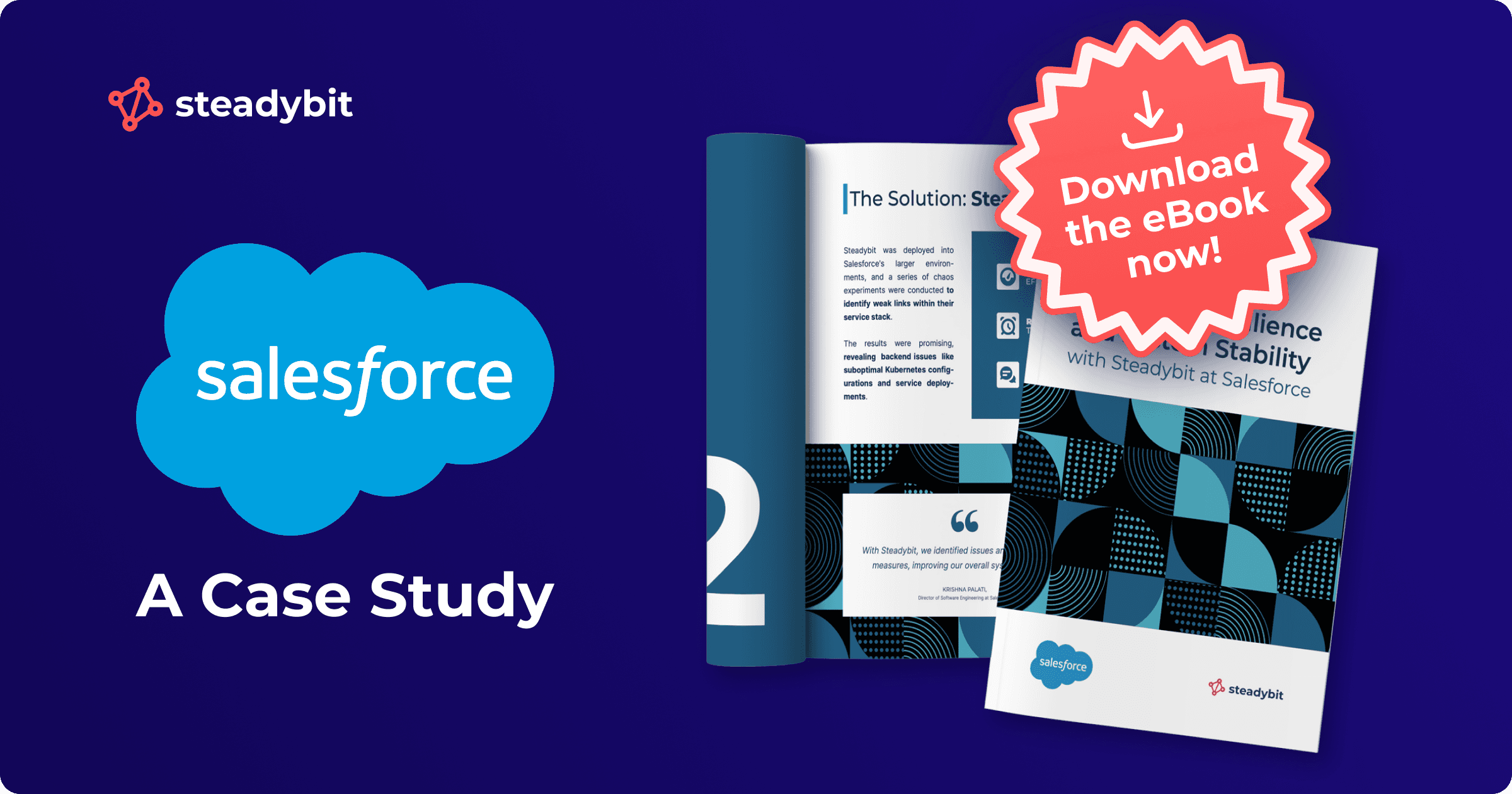 Steadybit - Salesforce Case Study