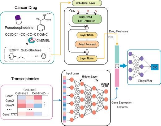 Transformer Architecture Redefining Machine Learning Across Nlp And Beyond