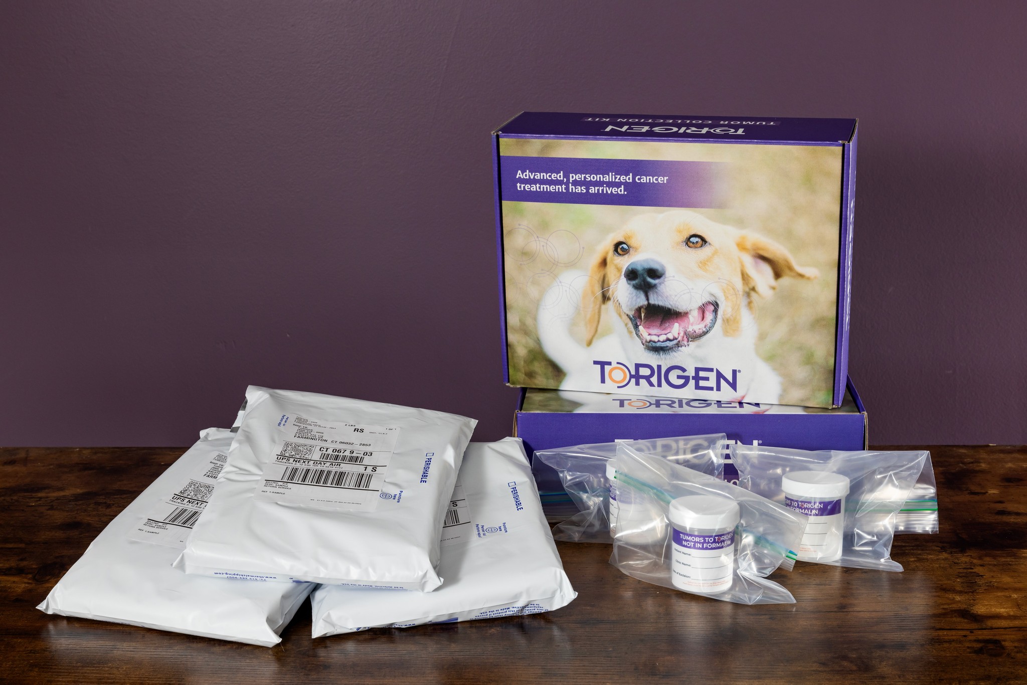 Torigen Pharmaceuticals | Veterinary Cancer Treatment