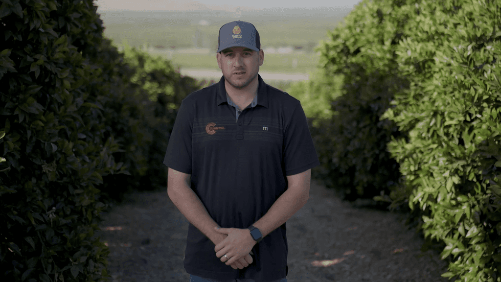 Aerobotics | Tecnología líder en previsión de rendimientos para ...