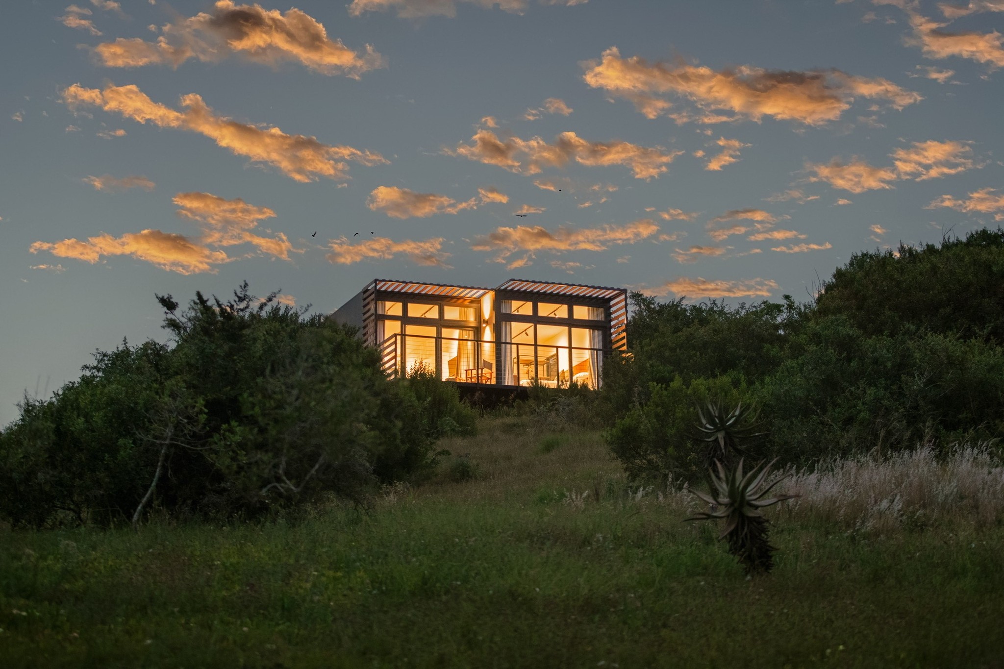 Nyosi Wildlife Reserve