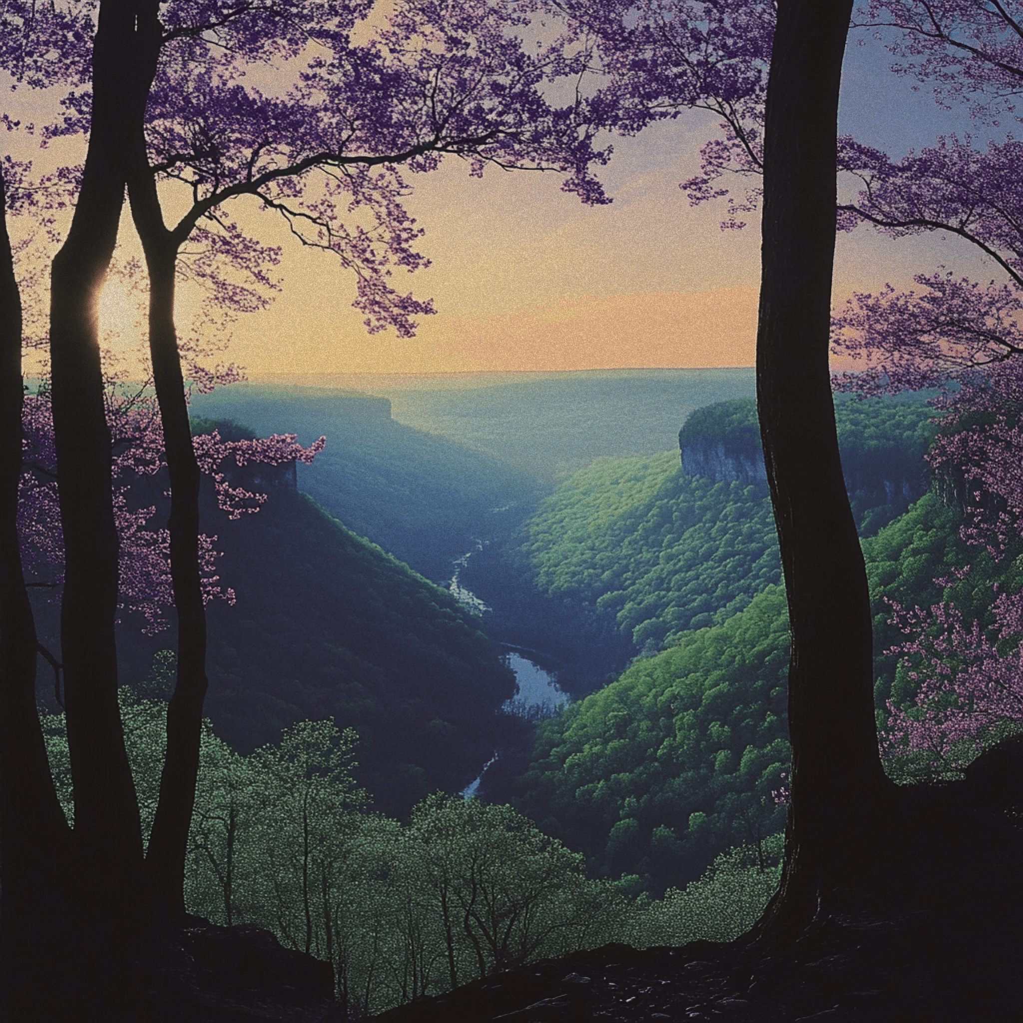 Why Leading Seed VCs Prioritize First-Time Founders in Early-Stage ...