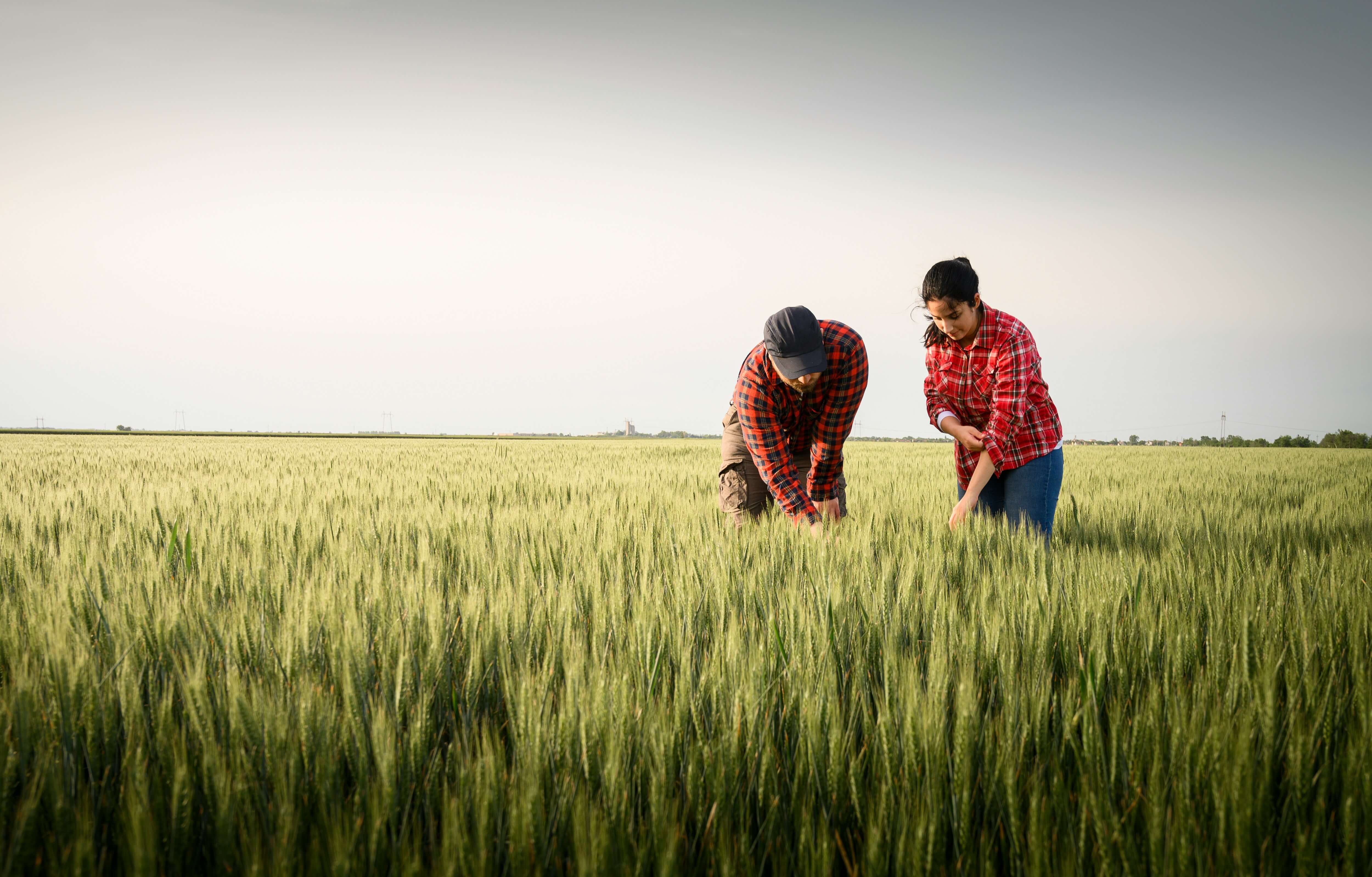 Mondra - Supply chain intelligence for food system resilience
