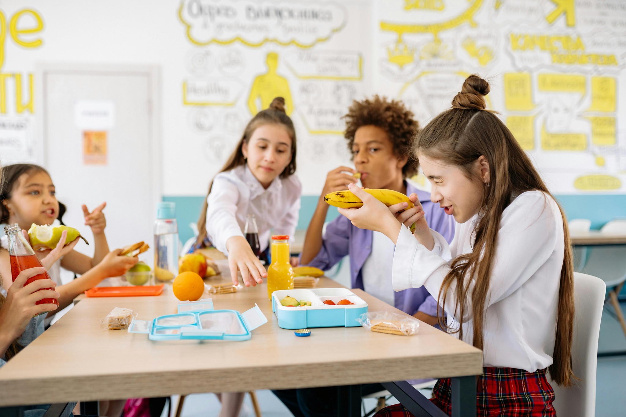 Start a K–12 Microschool from Home | Sunny Microschools