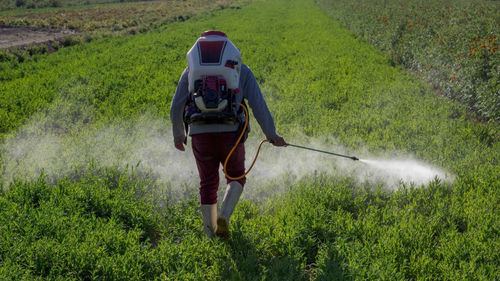 How to Use Foliar Spray Fertilizer Effectively - Leher
